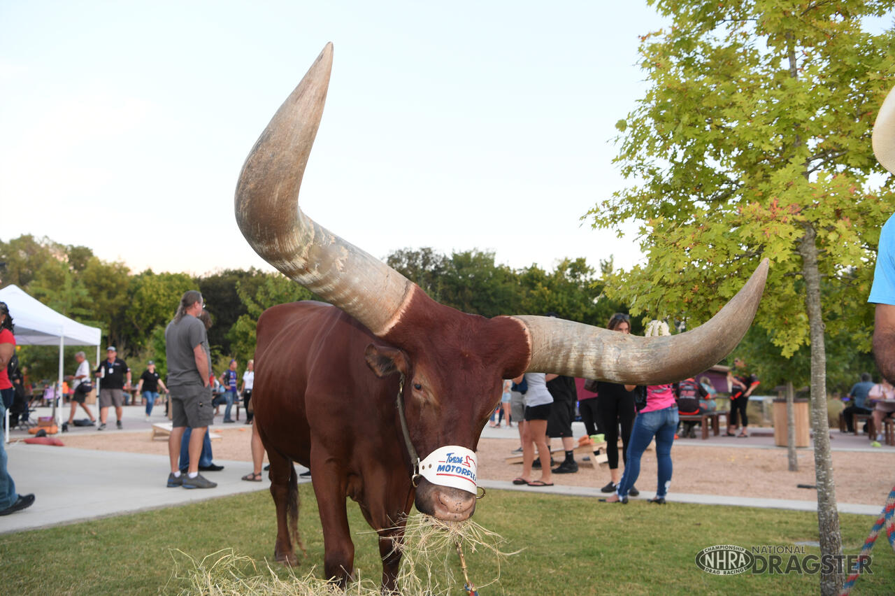 Fan Fest packs Railyard Park on first day of Texas NHRA FallNationals ...